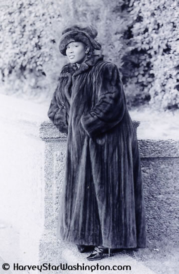 Harvey Star Washington.com | Fabulous Photos